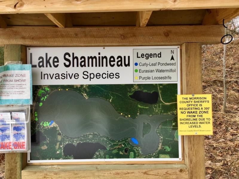 Lake Shamineau LID News