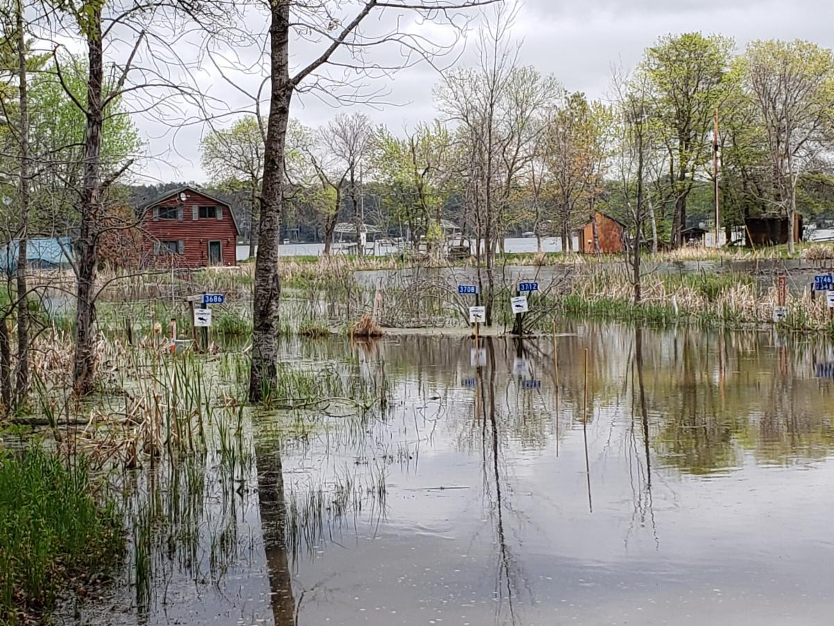 Lake Shamineau LID News