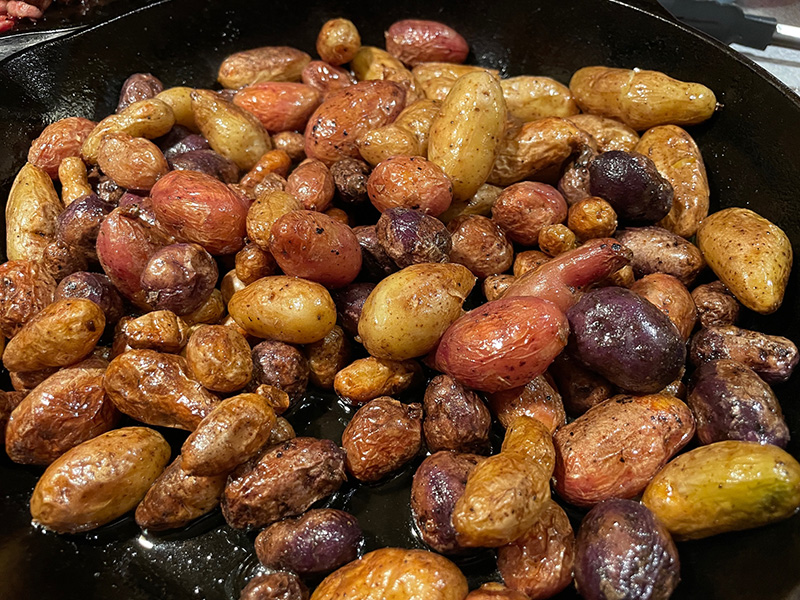 Save Money, Grow Food | How to Grow Gourmet Potatoes in Containers ...