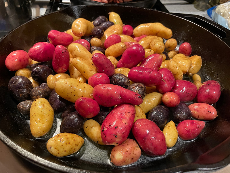 Save Money, Grow Food | How to Grow Gourmet Potatoes in Containers ...