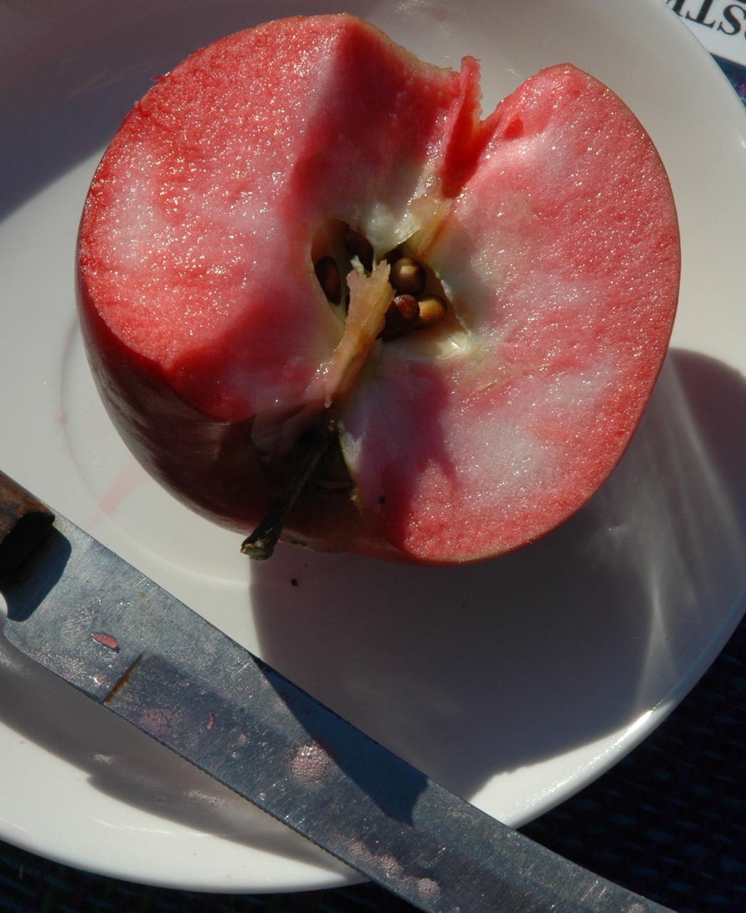 Apples with Red Flesh rather than White! Trees available now! - Edible ...