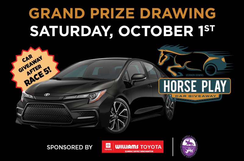 Vernon Downs October 2022 Live Harness Racing