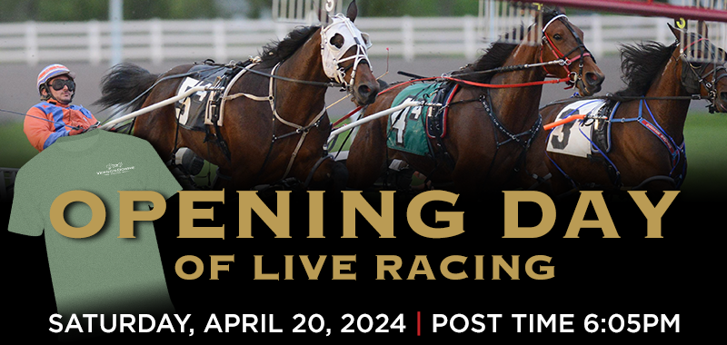 Vernon Downs April 2024 Live Harness Racing