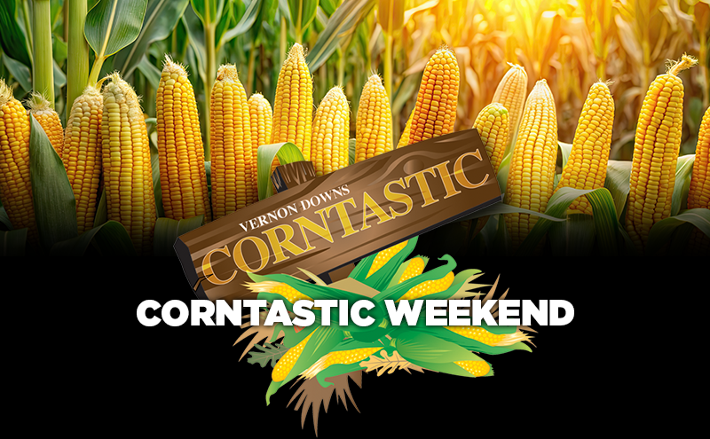 Vernon Downs August 2025 Live Harness Racing