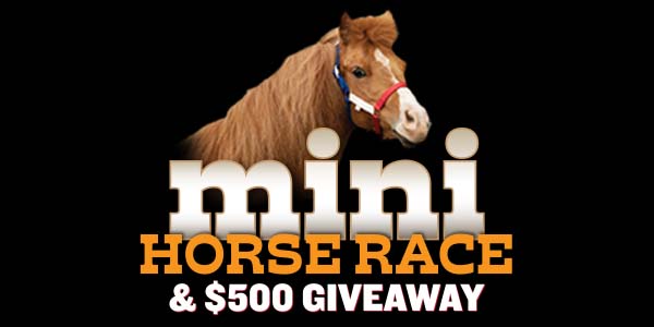 Vernon Downs July 2022 Live Harness Racing