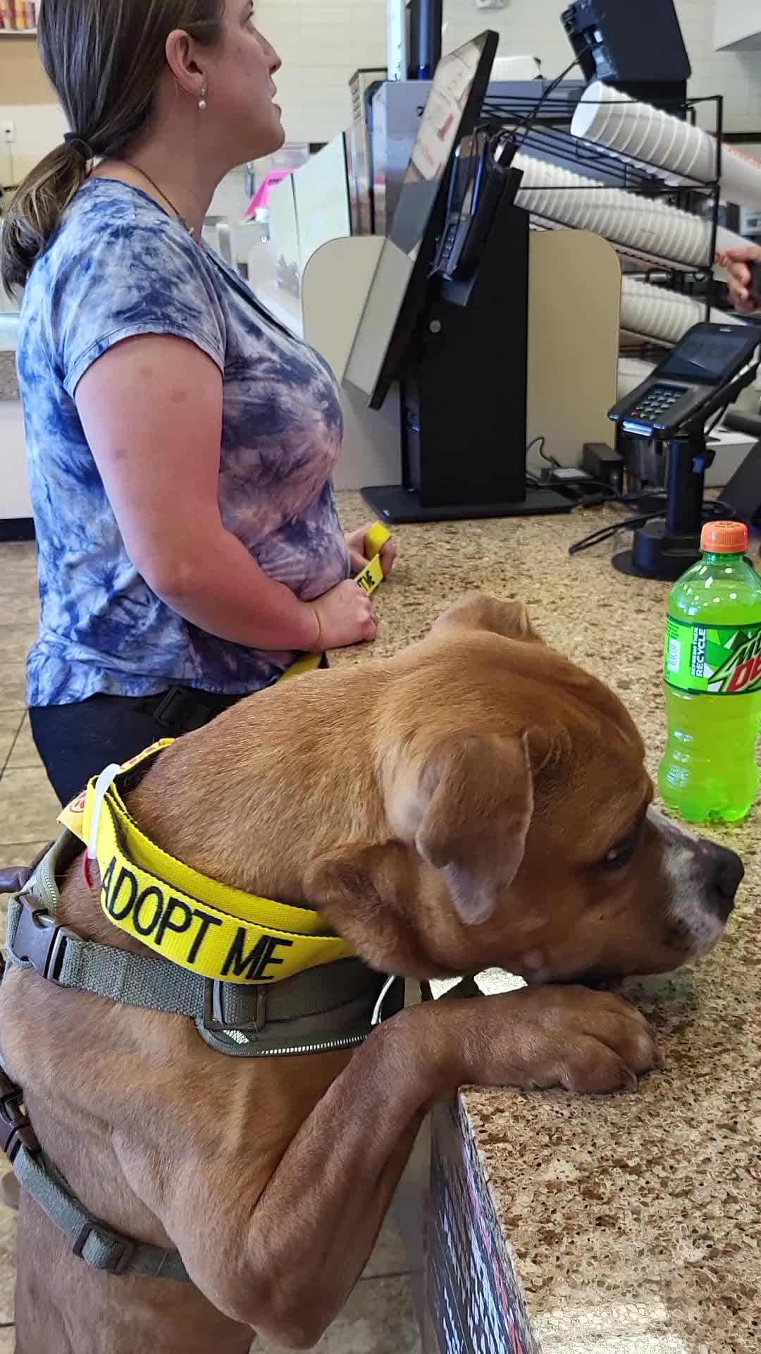 Our longest resident - 450 days!