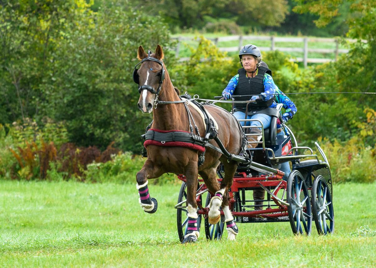 EXCITING NEW 2024 GMHA MEMBER-YEAR END HIGH POINT AWARDS
