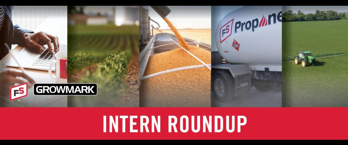 GROWMARK Internship Information