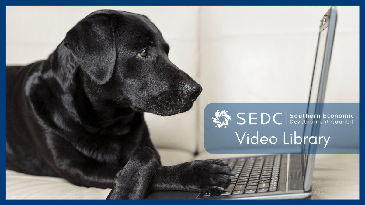 Upcoming SEDC Webinars