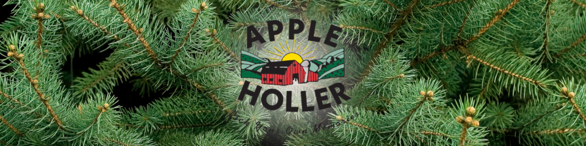Special North Pole Experience Comes to Apple Holler!