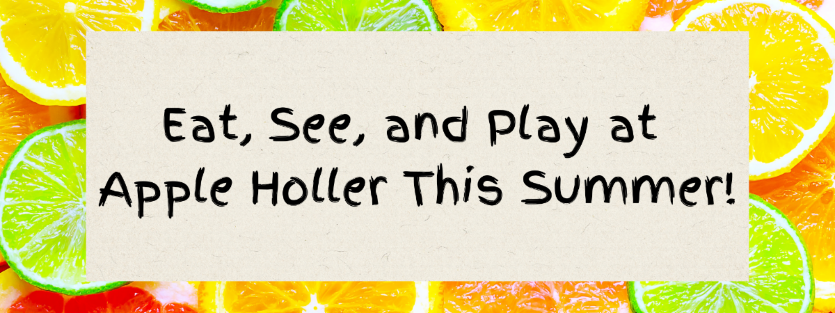 Your Guide to Summer at Apple Holler ☀️