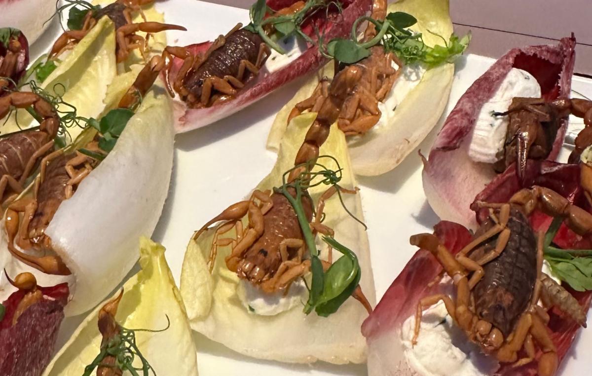 Explorers Club recognizes Gorongosa Project for environmental excellence