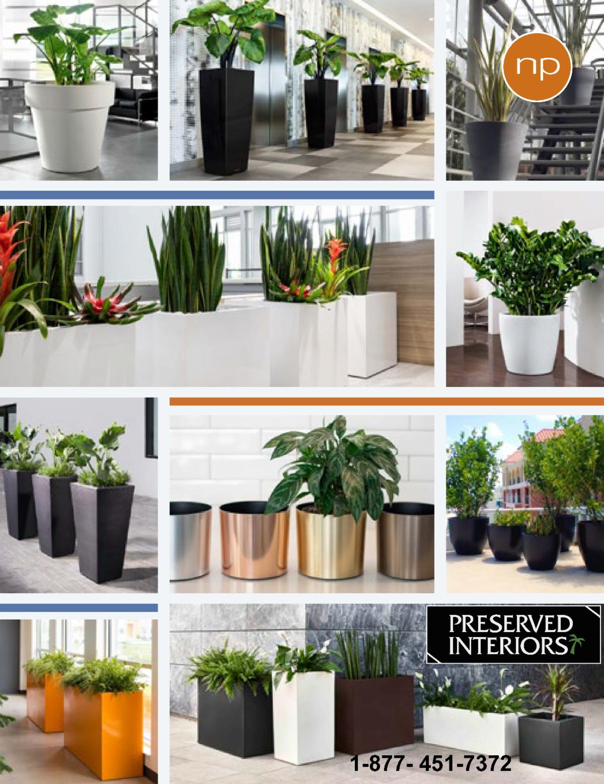 Custom Replica Green Walls & Fabricated Trees