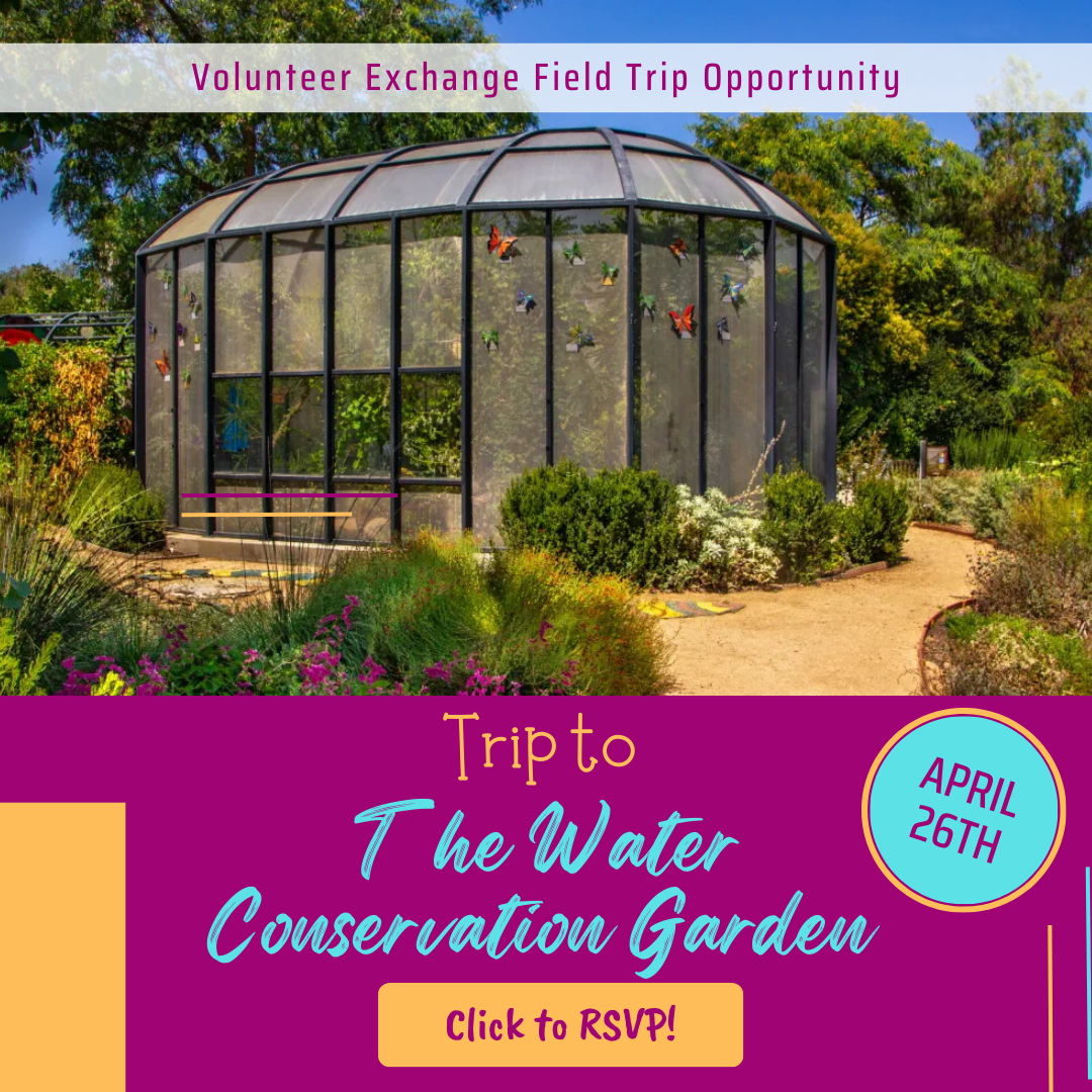 Cabrillo VIP Newsletter March 2025 🌊