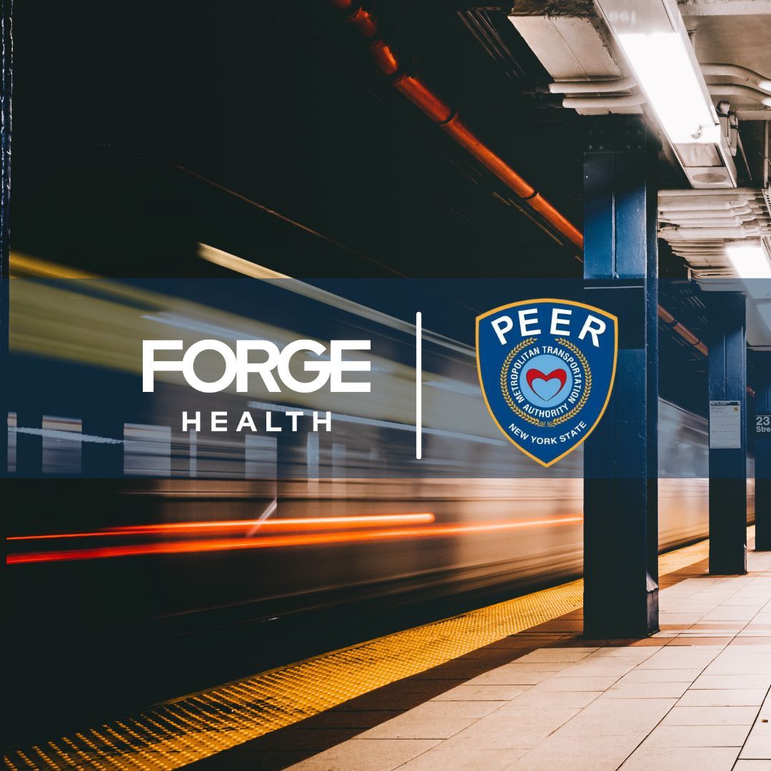 Forge VFR Summer Newsletter