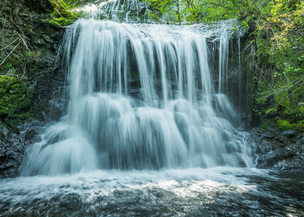 Forge Health Summer Newsletter