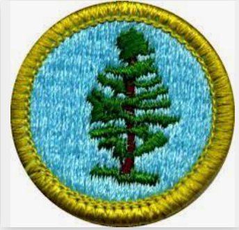 TAC Connection - Normandy 2024, Peace Light, and High Adventure