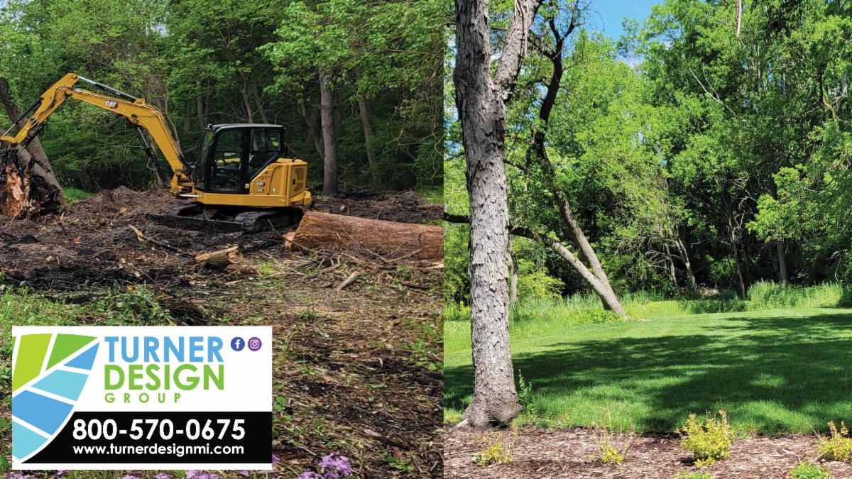 Reclaim Your Space with Our Land Clearing Services