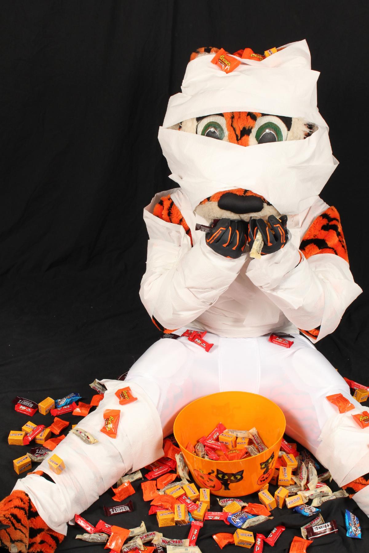 ECU Tiger Updates for 31 October 2022