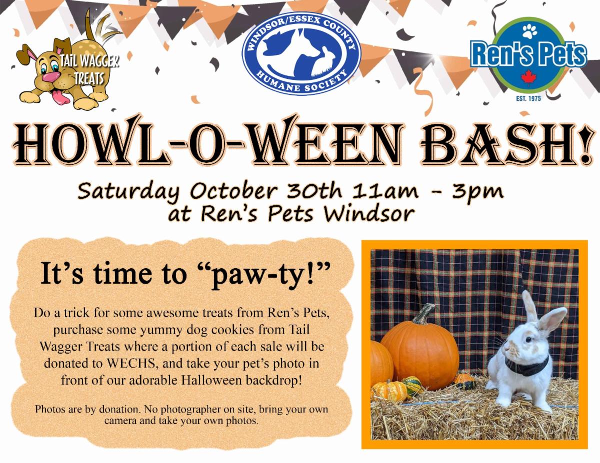 Happy Howl'o'ween!