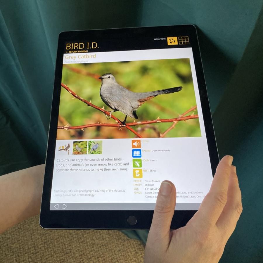 Maine State Museum June Roundup