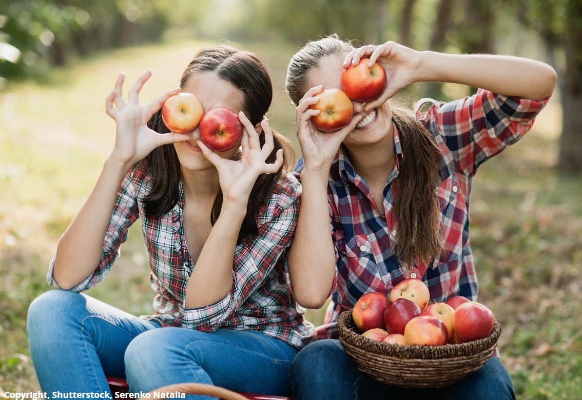 Experience the Glory of Autumn in Stockbridge, MA!