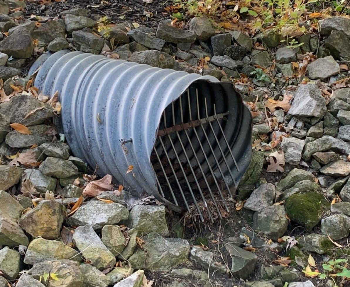 Conceptual LEAP Project Images, Area Holiday Happenings, and Witham ...