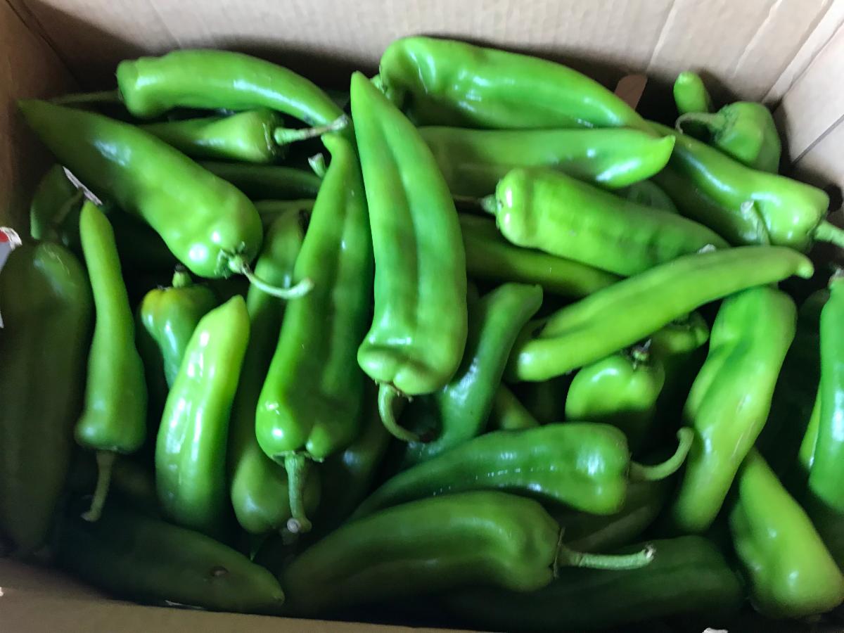 Limited Time: New Pintado Ristras and Wreaths | Shipping Green Chile Now