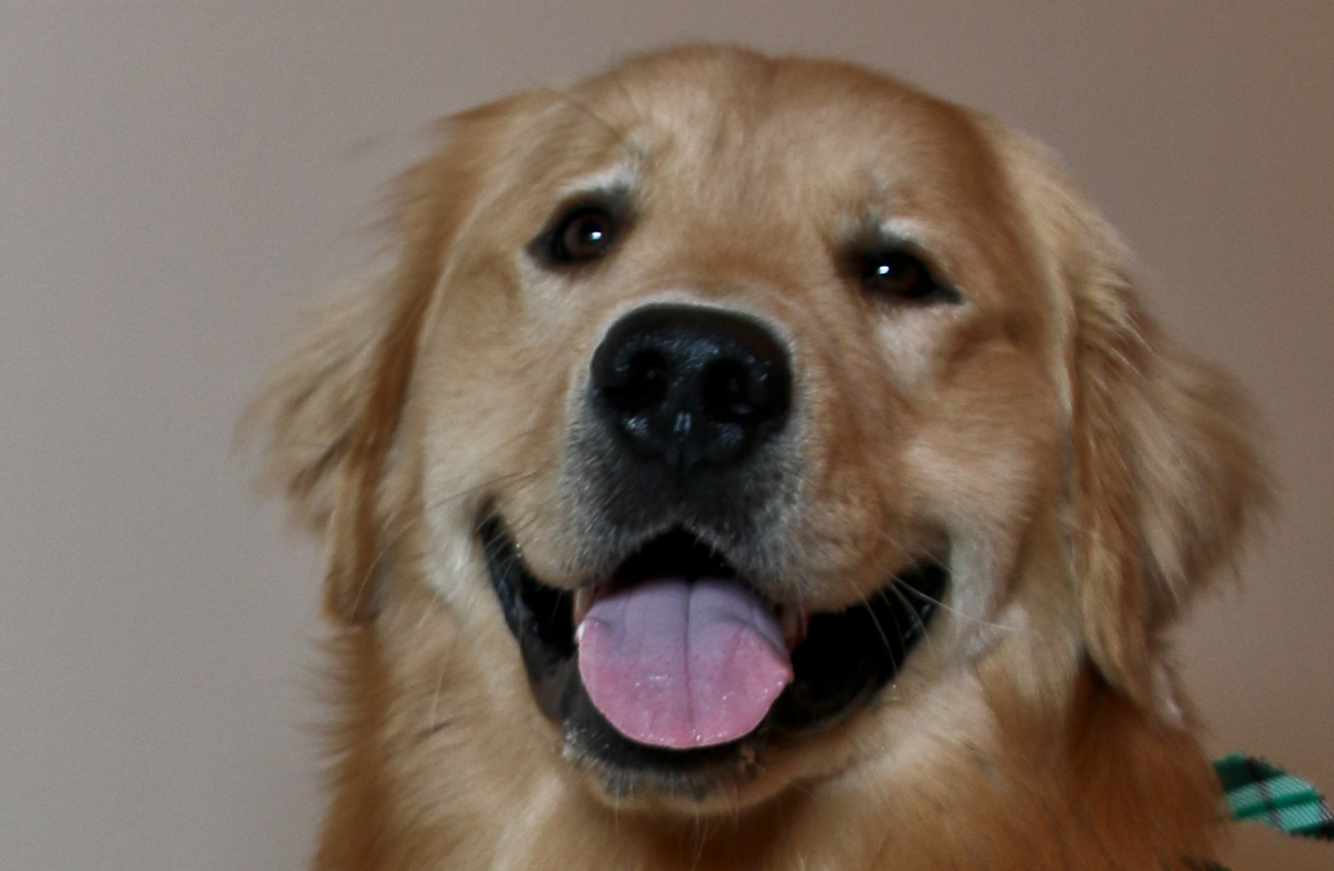 Dr Joe Alton's Father's Day Newsletter and Special Deals