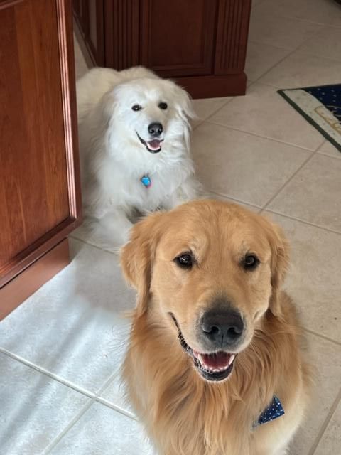 Dr Joe Alton's Father's Day Newsletter and Special Deals