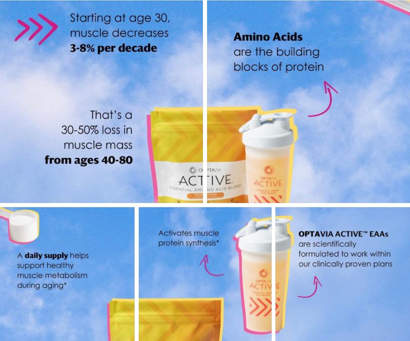 Cheese Biscuits and DISCOUNTS