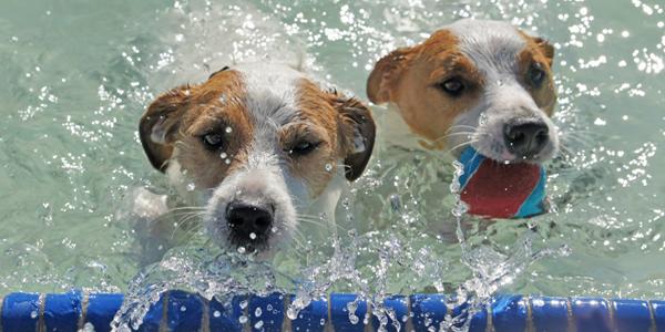 City News: Proposal to Transfer Folsom Stage Line to Sacramento Regional Transit, Oak Parkway ...