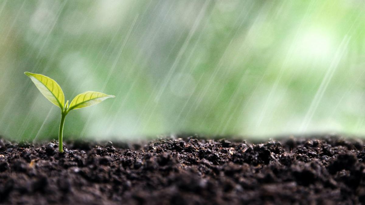 Recordings from Soil Moisture 101 Webinar