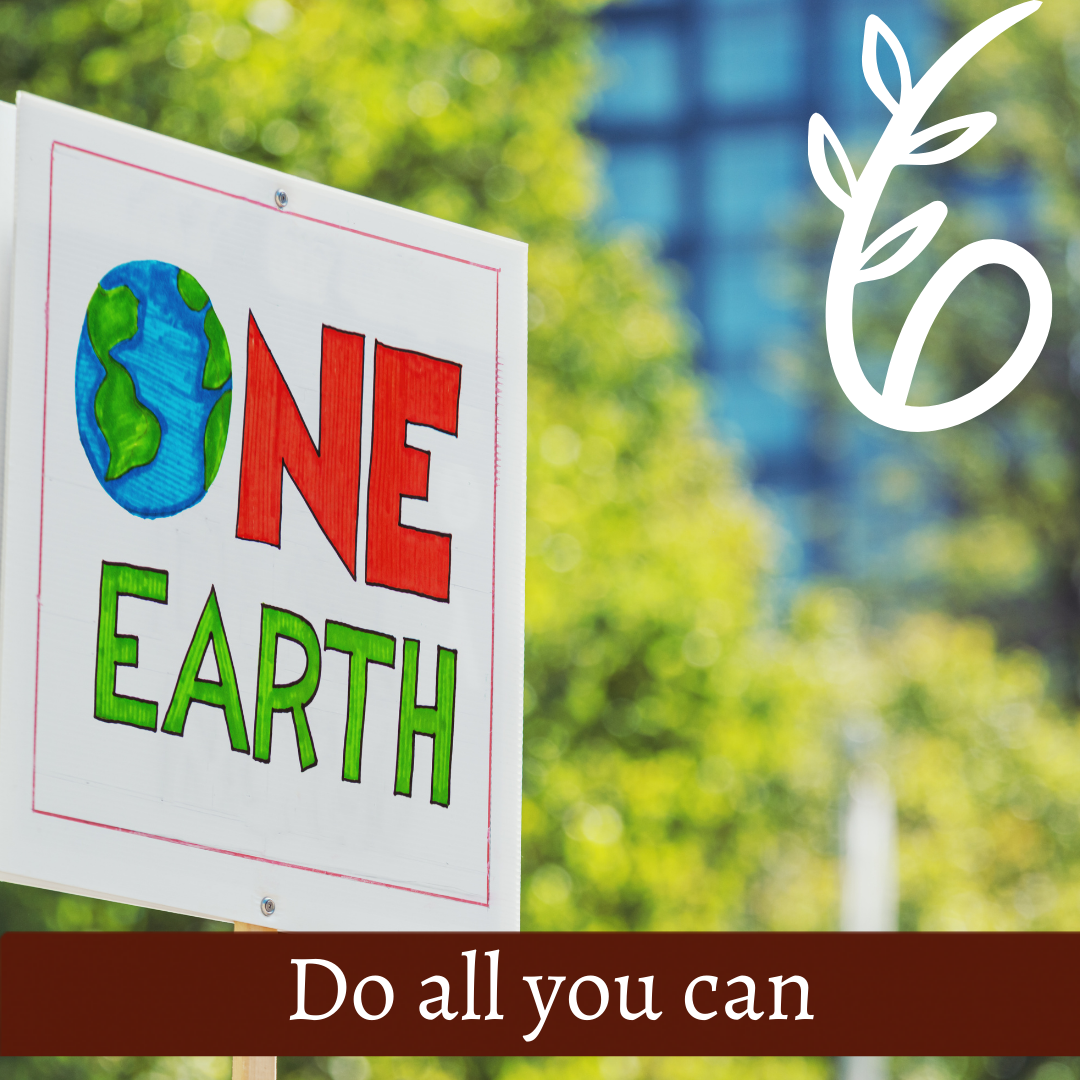 7 Easy Ways to Act for Our Planet | Pinder's Nursery | Blog