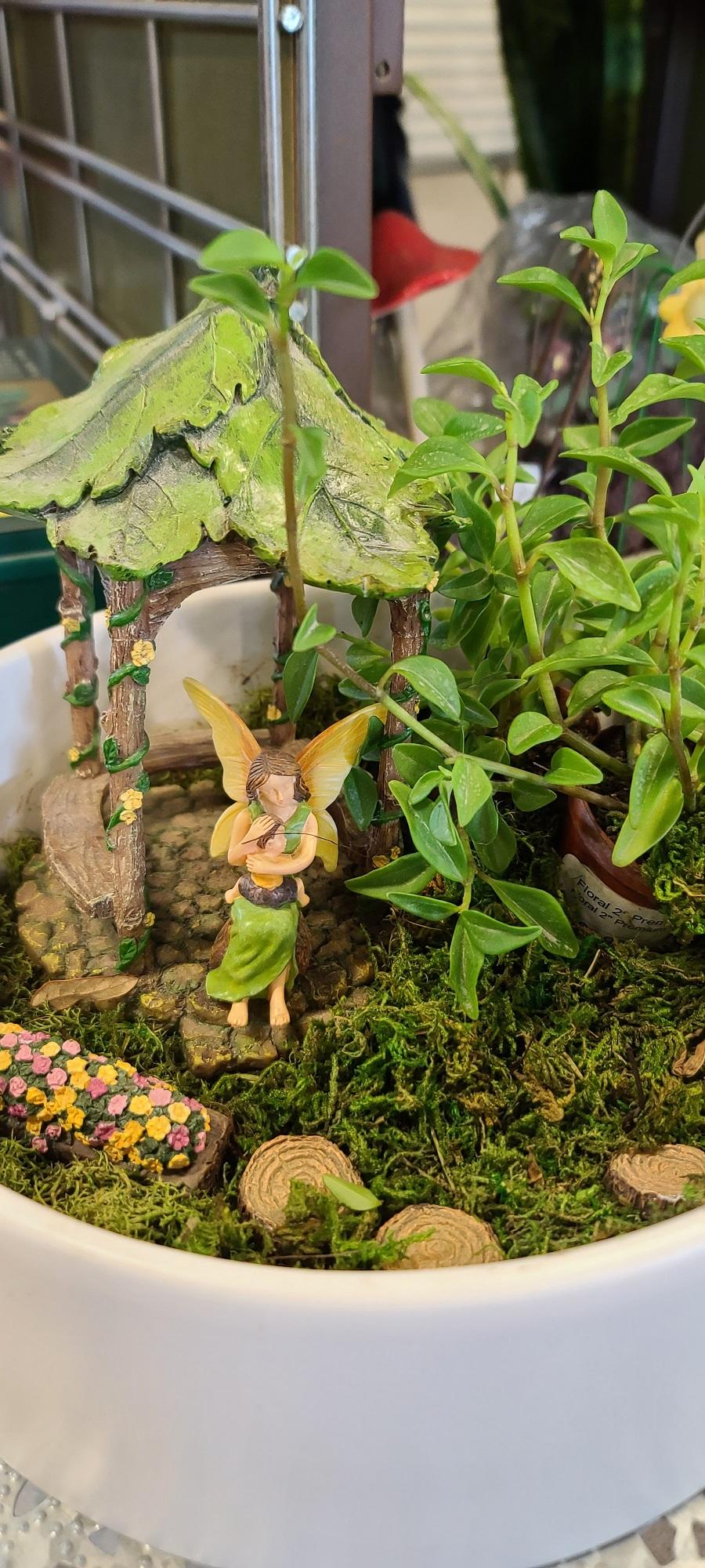 Small Scale Gardening | Pinder's Nursery | Blog