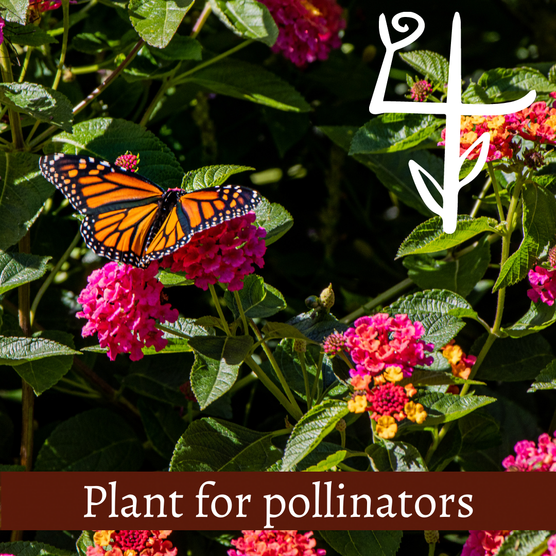 7 Easy Ways to Act for Our Planet | Pinder's Nursery | Blog