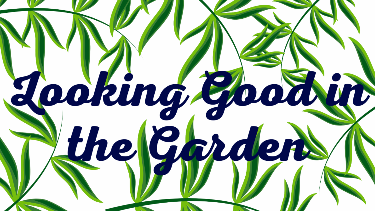 Spring Vegetable Garden Ideas