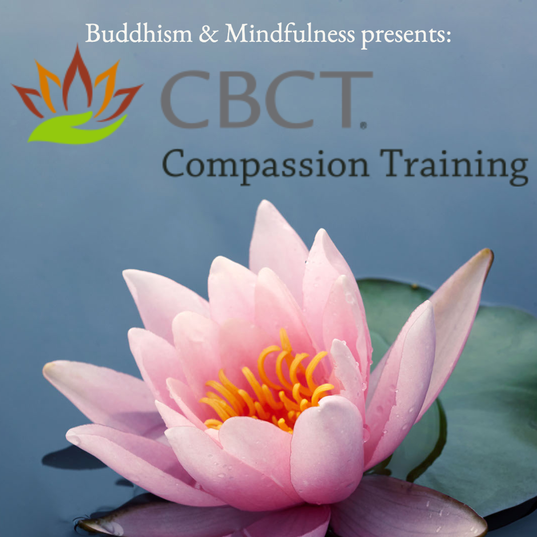 The All Souls Weekly: January 28th - February 4th