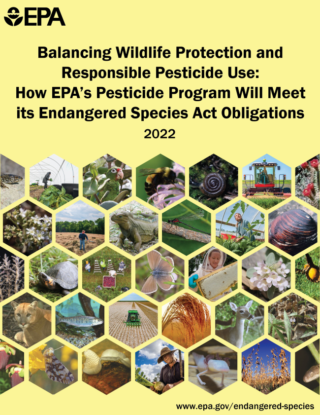 Eye on DC: EPA Releases Workplan to Address Backlog of Endangered ...