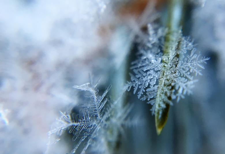 ACCG Insurance Programs 2026 Winter Newsletter
