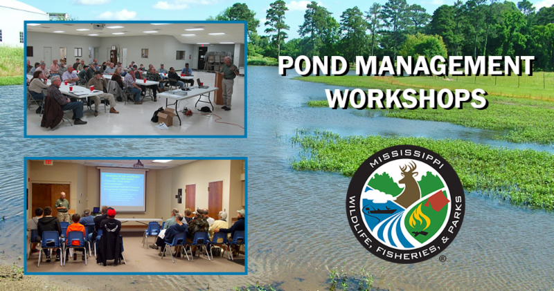 MDWFP July Newsletter