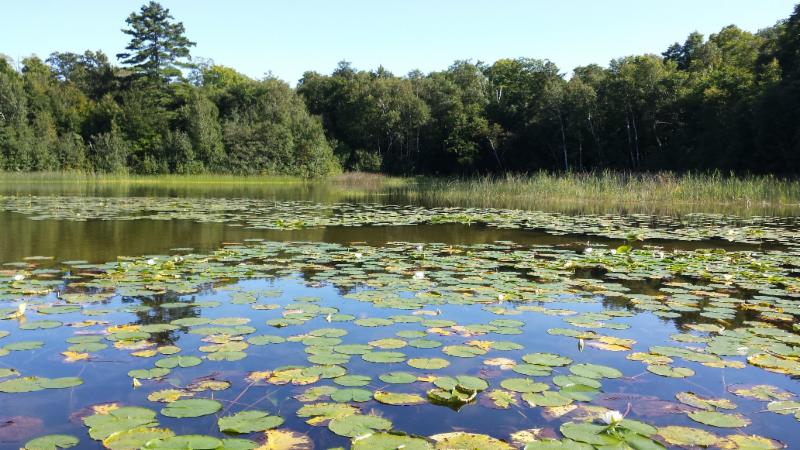What's New with the Chambers Island Nature Preserve?