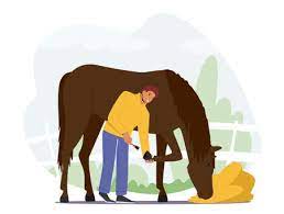 Important Updates & Information from RMHA-APRIL/MAY 2023