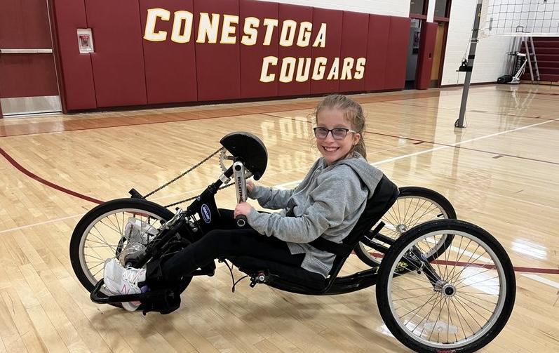 ADA Report-November, 2023