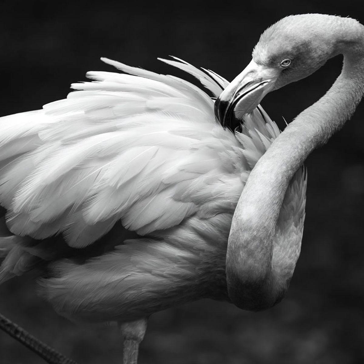 Reminder: Wildflower Fields- New Artist- Tanya Mavric and The Art of ...