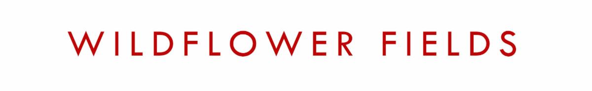 Reminder: Wildflower Fields- New Artist- Tanya Mavric and The Art of ...