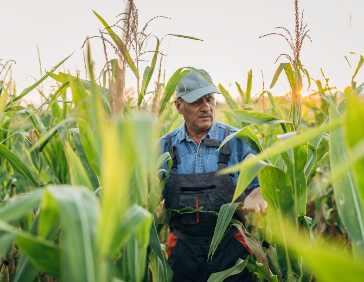 This Week in Organic, Non-GMO & Regenerative News