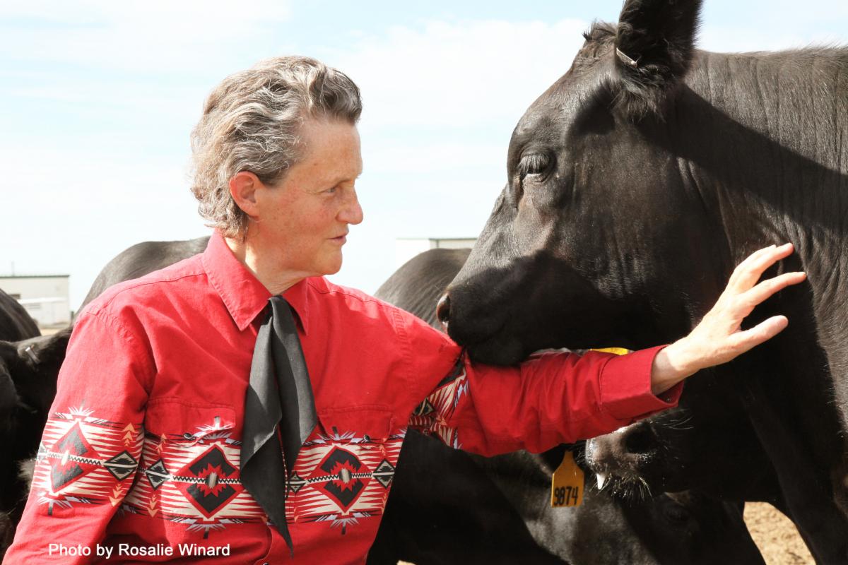Colorado State University Professor of Animal Science, Autism Advocate ...