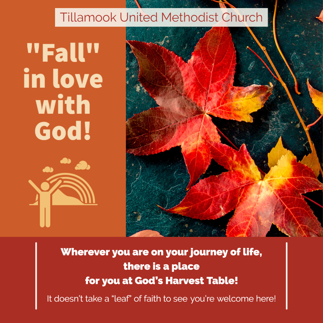 Our Money Story Week 3 Devotional