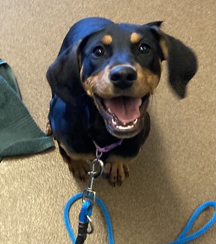 The latest news for you